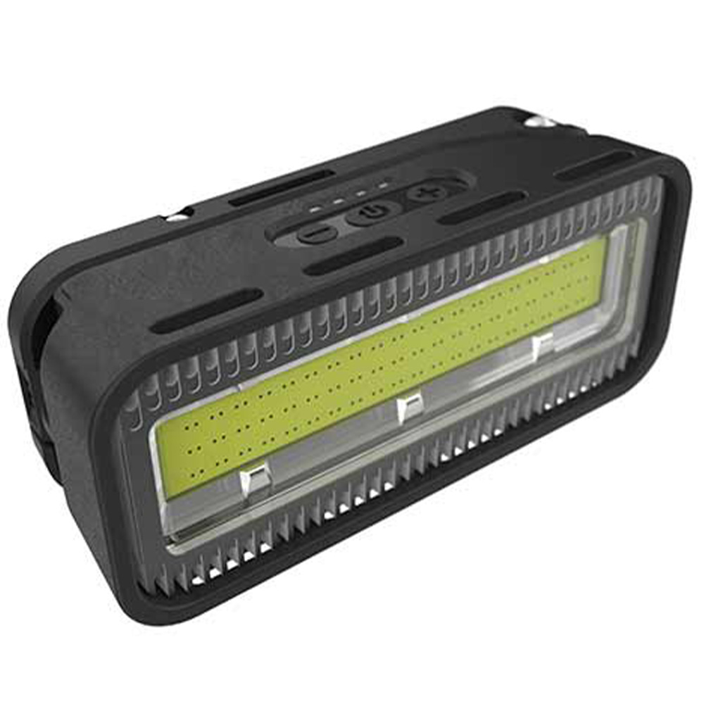 Fox RX Security System