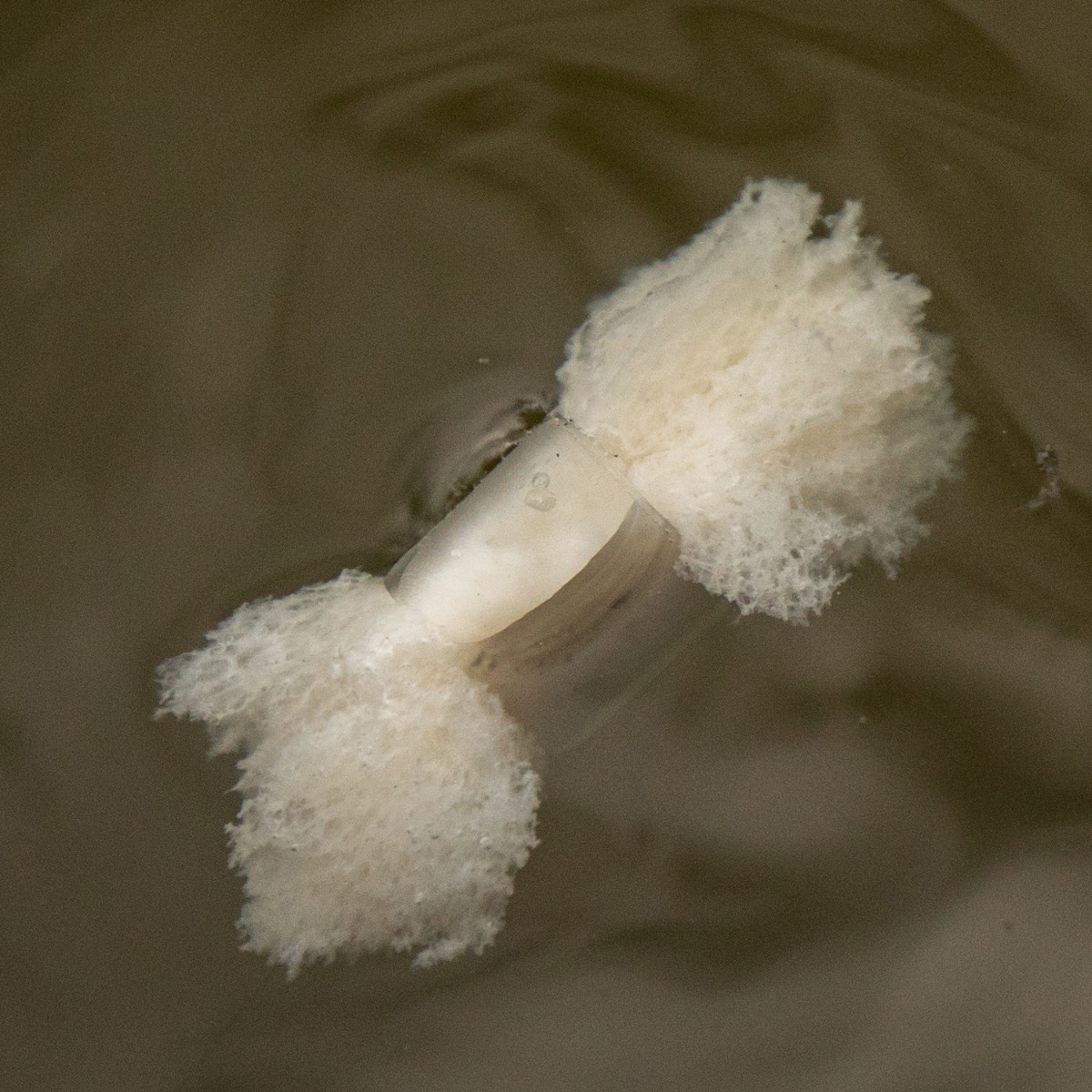 Nash Bread Bomb, Klein