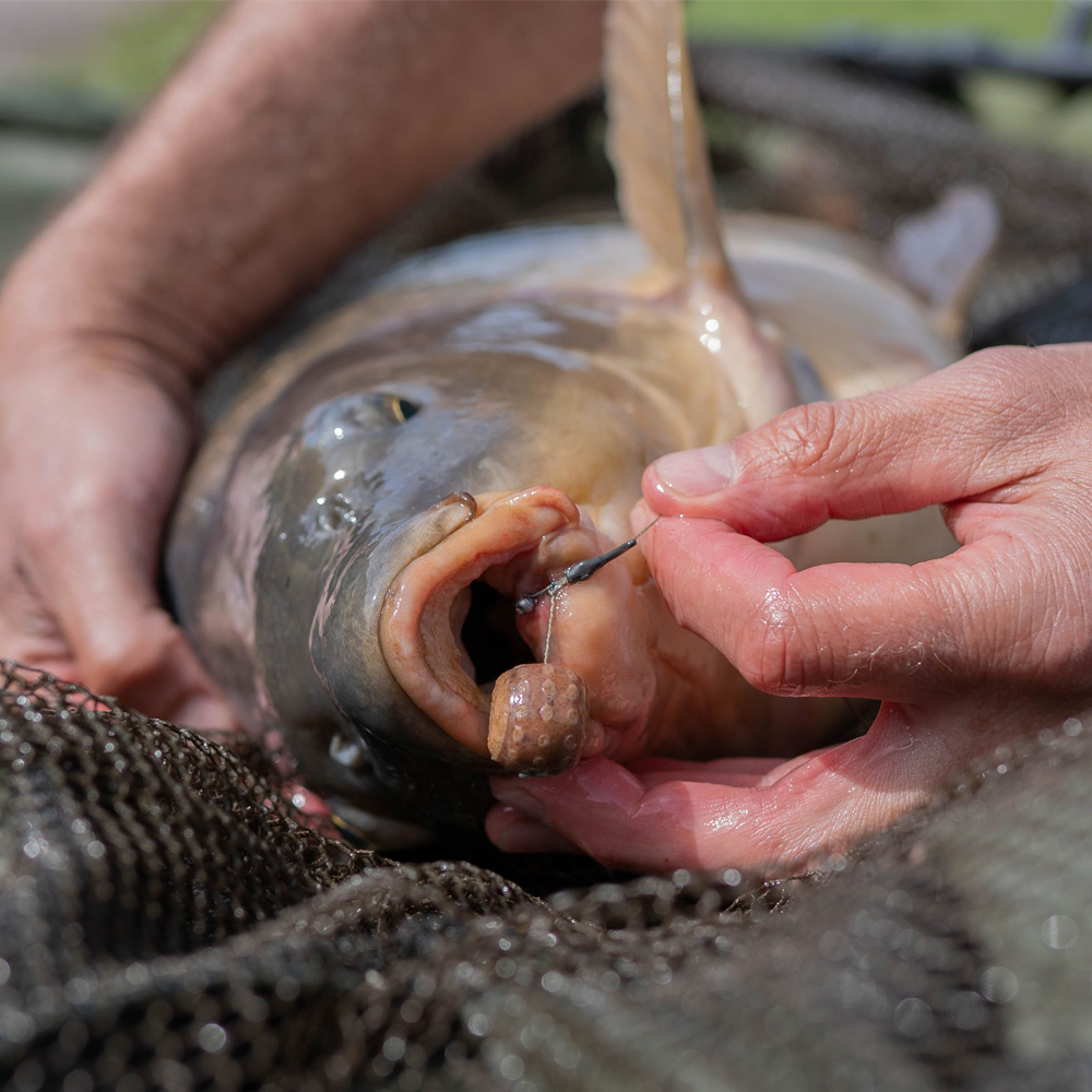 Pole Position Tungsten Line Aligner